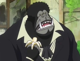 Travis Gibbon | Wiki LNM One Piece | Fandom