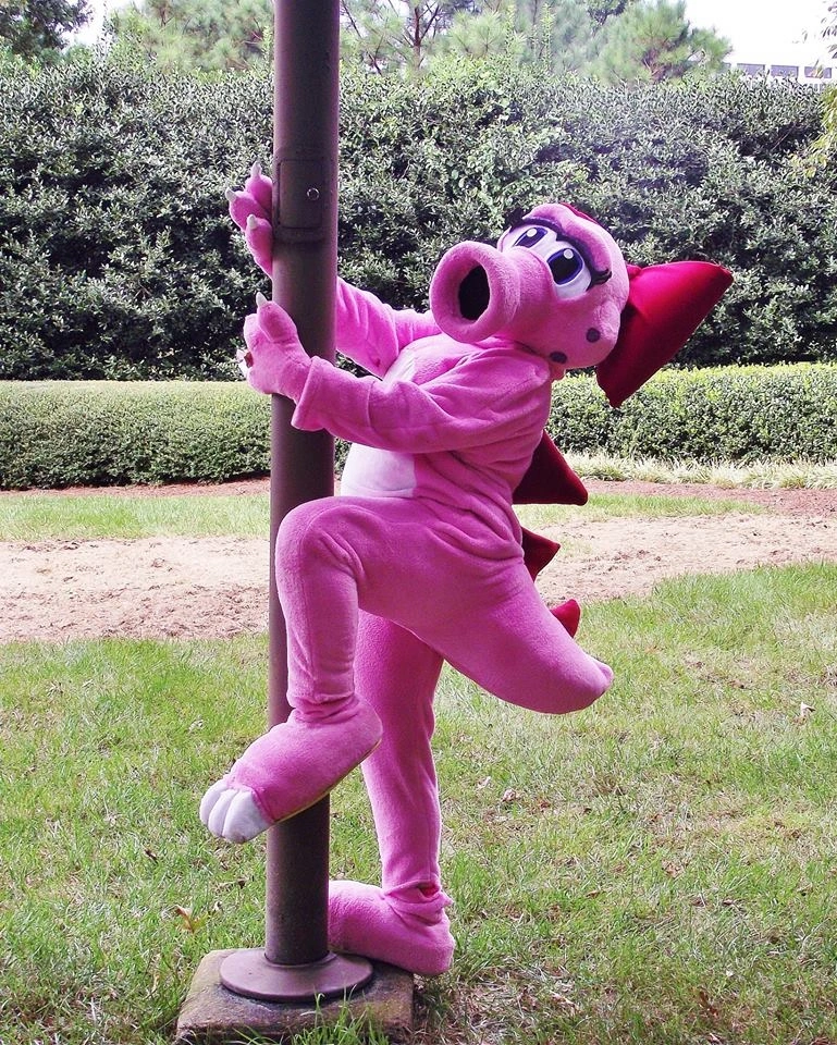 Birdo | Leela's Next Top Model Wiki | Fandom
