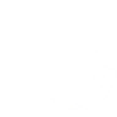 Outrésocialism | Local Interuniversal Cluster Wiki | Fandom