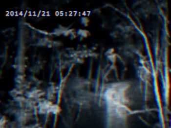 Creature | Local 58 Wiki | Fandom