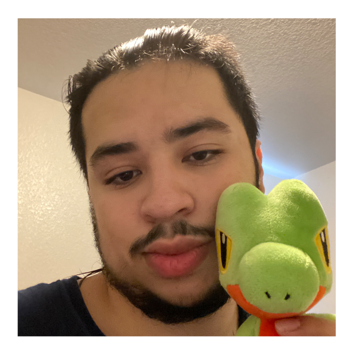 Treecko Lockdown Reality Series Wiki Fandom