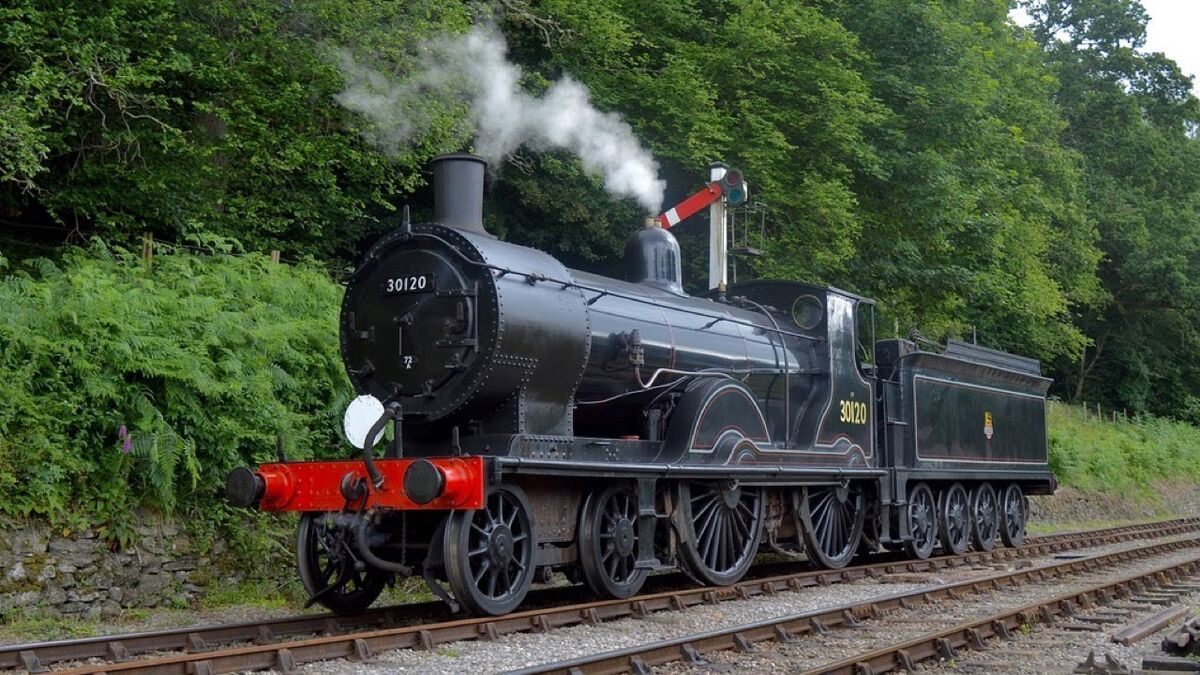 LSWR T9 Class | Locomotive Wiki | Fandom LSWR T9 Class | Locomotive Wiki | Fandom