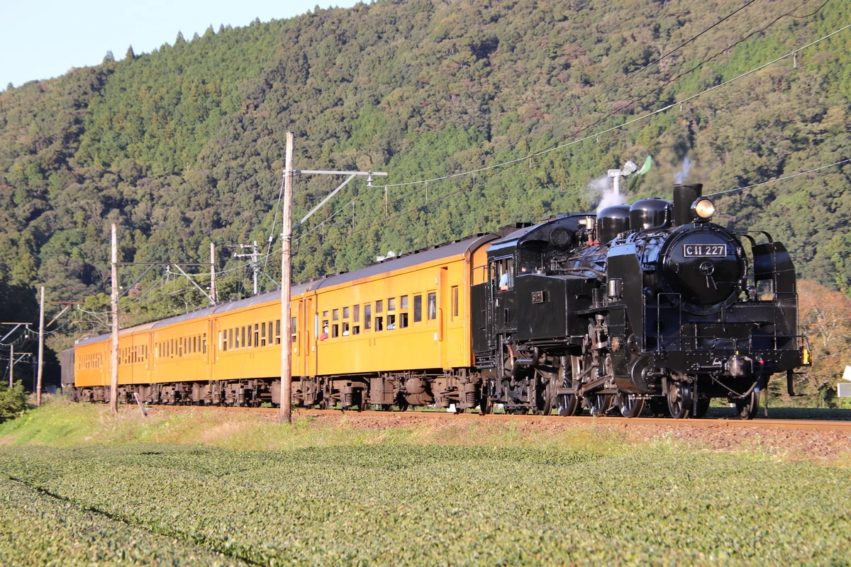 JNR Class C11 No. C11 227 | Locomotive Wiki | Fandom