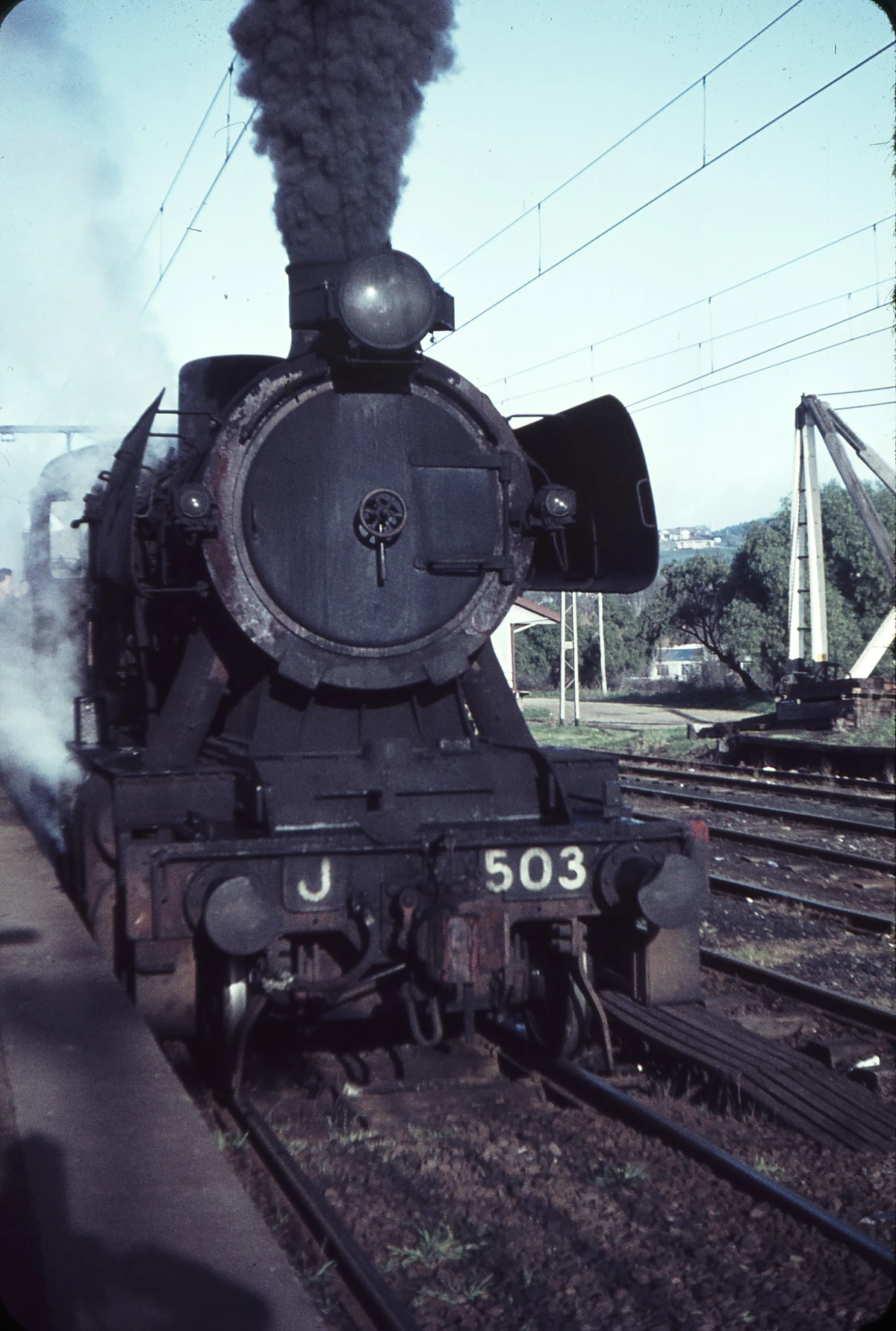 Category:Victorian Railways J Class | Locomotive Wiki | Fandom