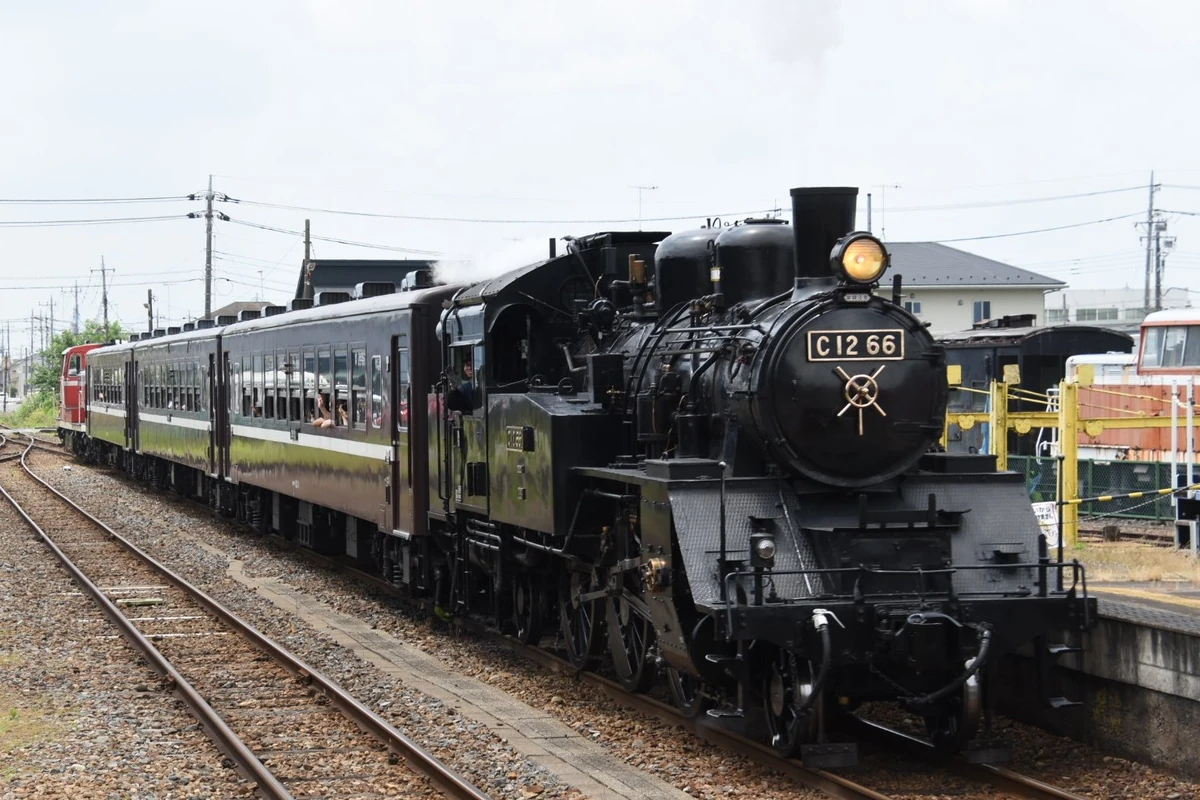 JNR Class C12 No. C12 66 | Locomotive Wiki | Fandom