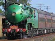 NSWGR 38 Class | Locomotive Wiki | Fandom
