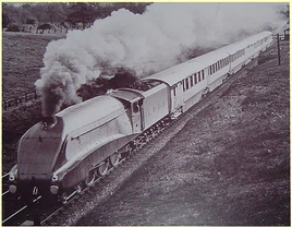 LNER Class A4 No. 2509 Silver Link | Locomotive Wiki | Fandom