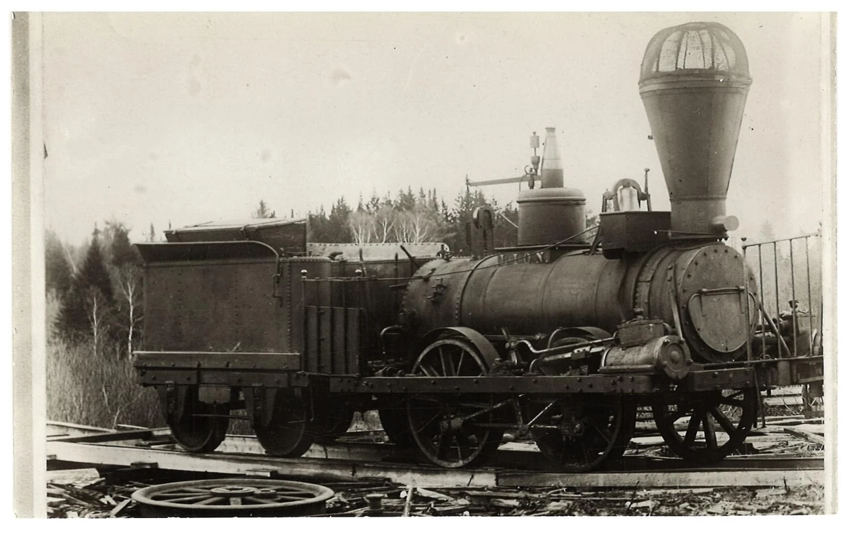 Whitneyville & Machiasport Railroad Lion | Locomotive Wiki | Fandom