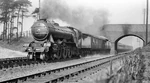LNER Gresley Classes A1 and A3/Stock list | Locomotive Wiki | Fandom