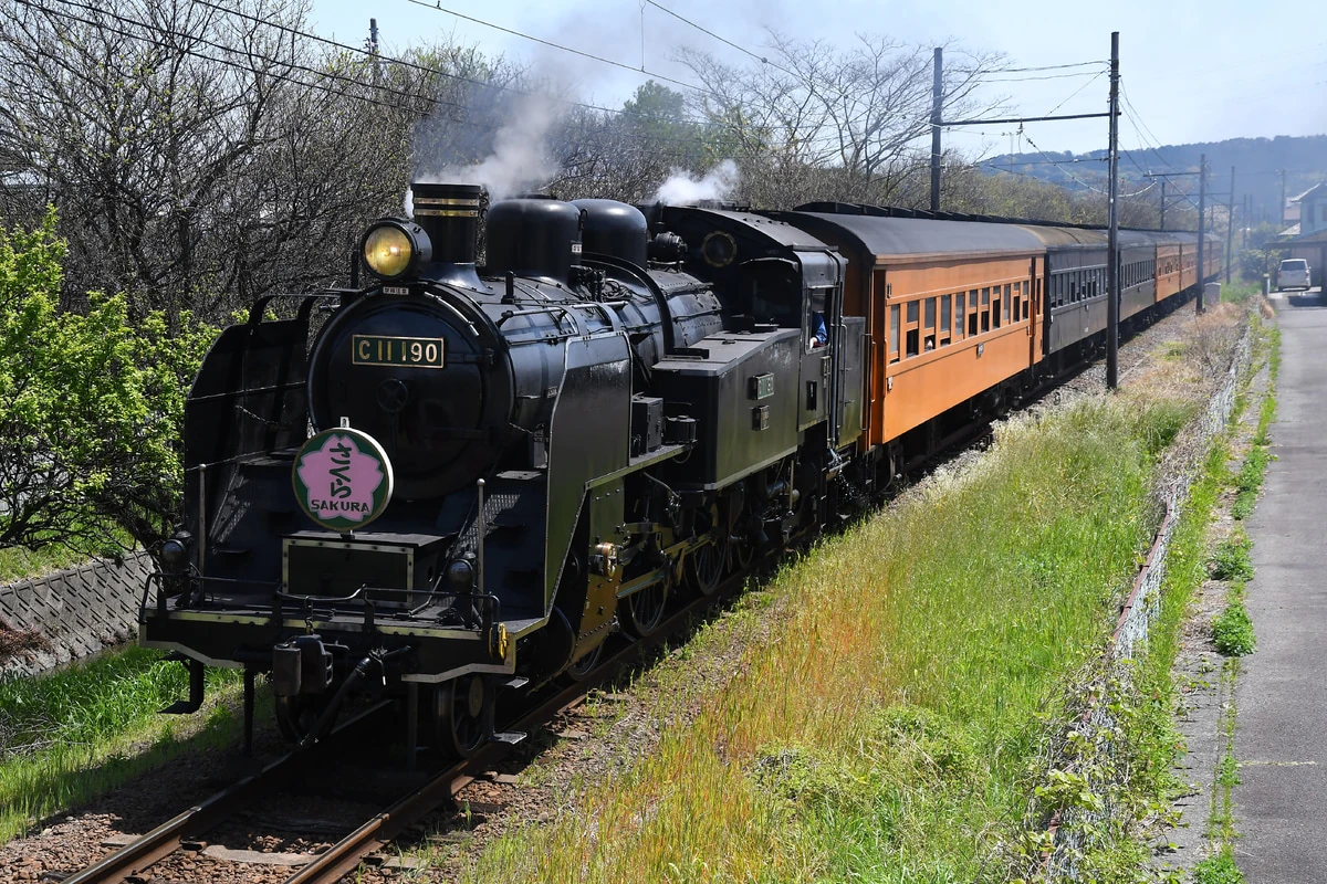 JNR Class C11 No. C11 190 | Locomotive Wiki | Fandom