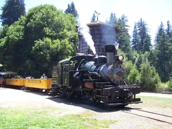 Geared steam locomotive | Locomotive Wiki | Fandom