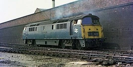 British Rail Class 52 | Locomotive Wiki | Fandom