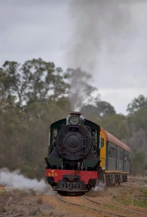 WAGR W Class No.945 'Banksiadale' | Locomotive Wiki | Fandom