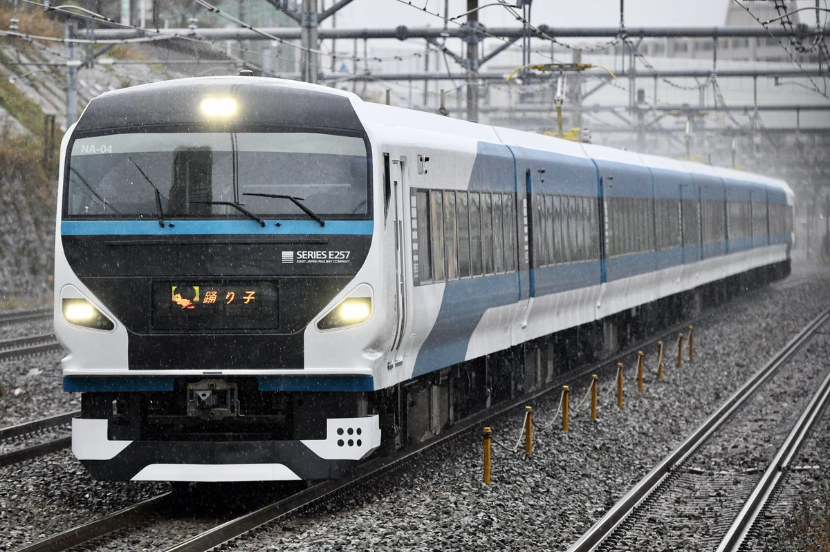 E257 series | Locomotive Wiki | Fandom