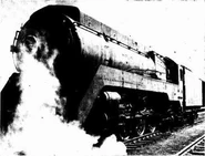 NSWGR C38 Class No. 3801 | Locomotive Wiki | Fandom