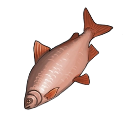 Sea Bream | Lodventure Wiki | Fandom