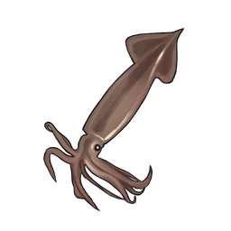 Squid | Lodventure Wiki | Fandom