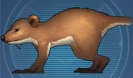 Plesiadapis | LOE: Life on Earth Wiki | Fandom
