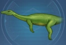 Thalattosaurus | LOE: Life on Earth Wiki | Fandom