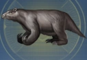 Megatherium | LOE: Life on Earth Wiki | Fandom