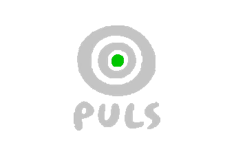 Tv Puls Logo