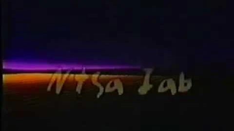 Ntsa Iab Production | Logo Rip-Offs Wikia | Fandom