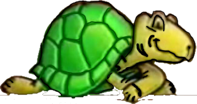 Video Peques Turtle | The Logo Show Wiki | Fandom