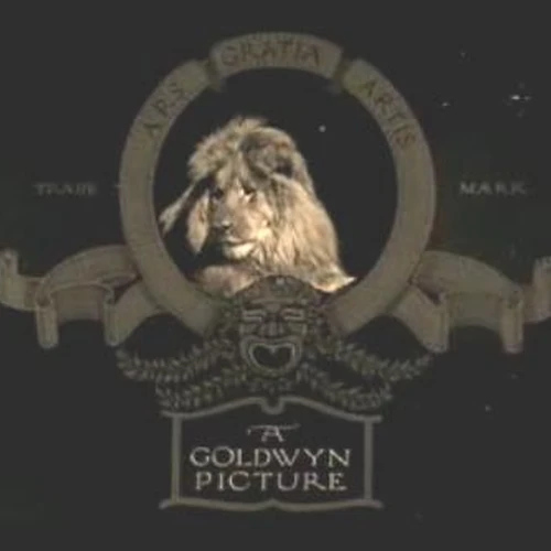 Lion Zookeeper Joe The Name