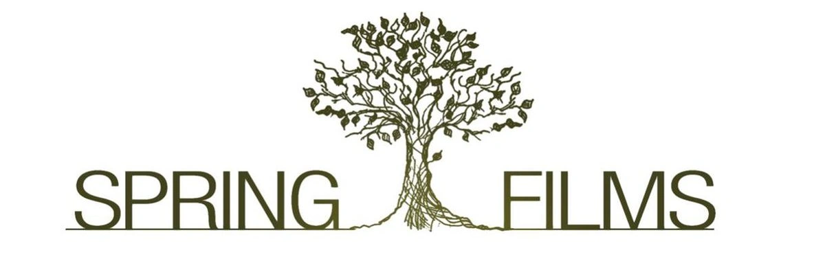 Spring Films | Logo Timeline Wiki | Fandom