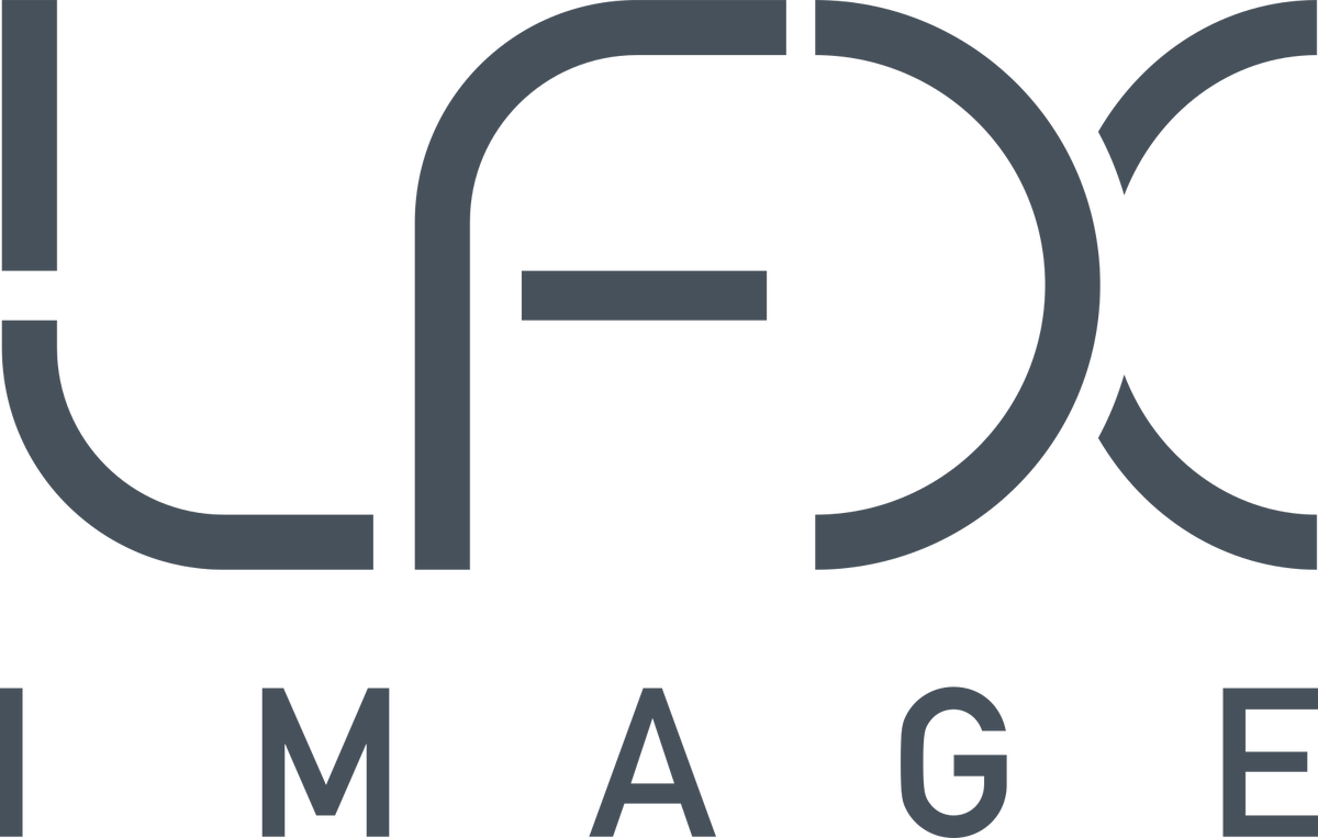 LFX Image | Logo Timeline Wiki | Fandom