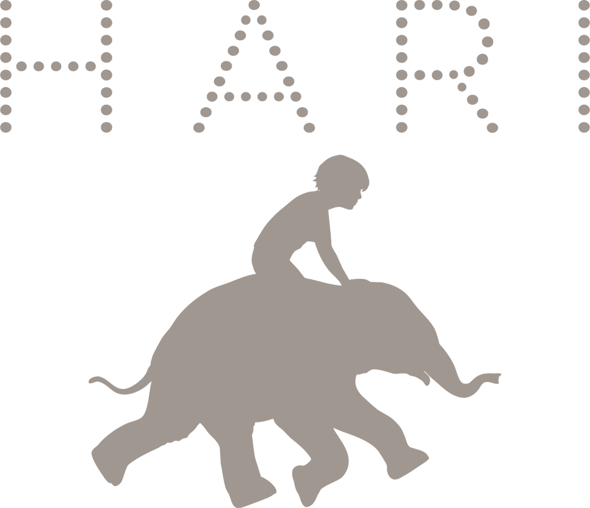 Studio HARI | Logo Timeline Wiki | Fandom