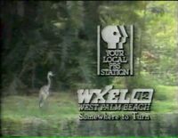 WXEL-TV | Logo Timeline Wiki | Fandom