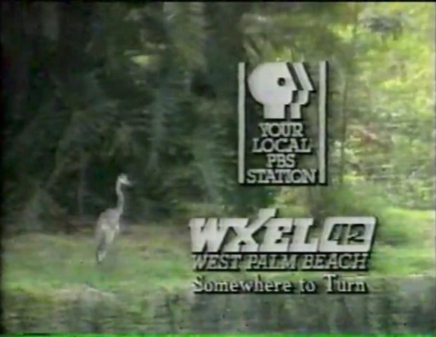 WXEL-TV | Logo Timeline Wiki | Fandom