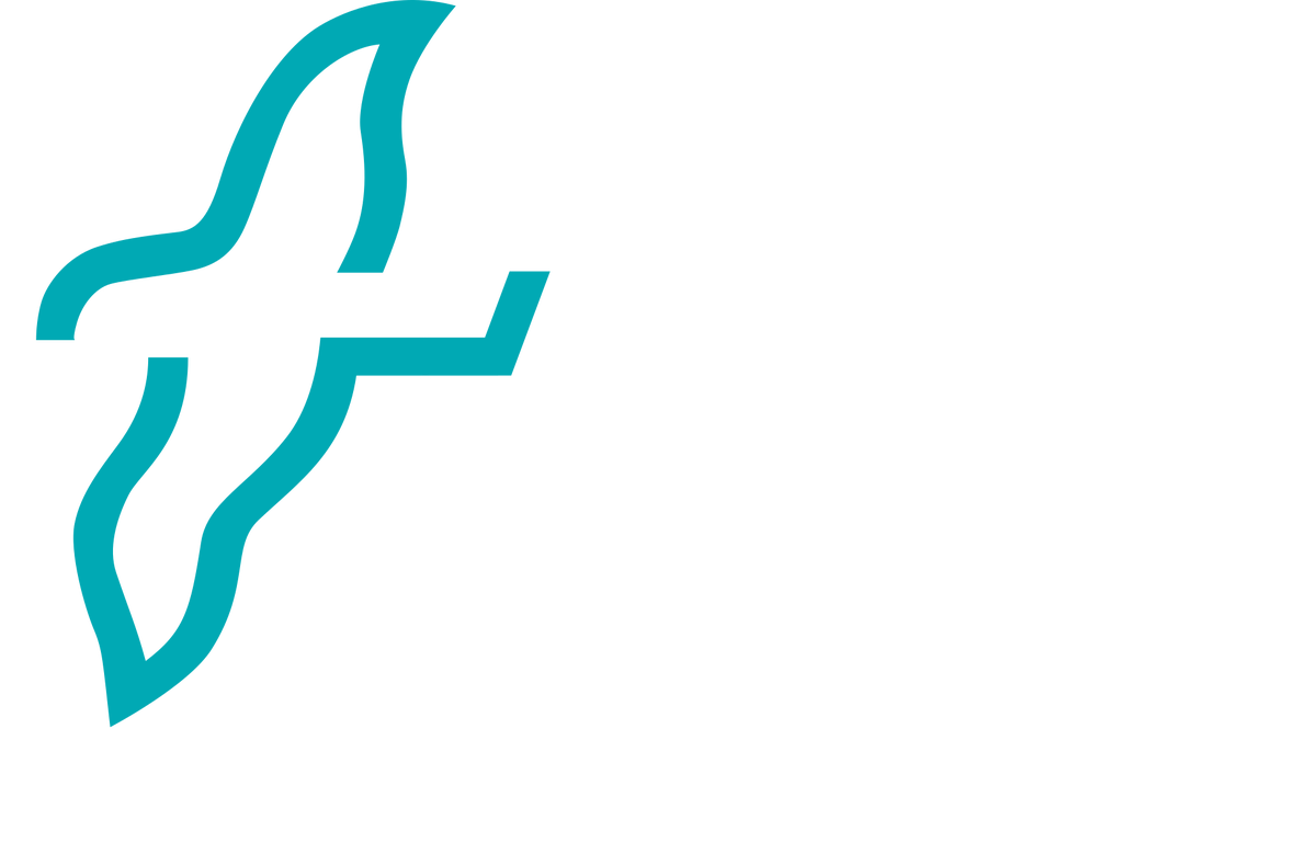 Simtec Systems GmbH | Logo Timeline Wiki | Fandom
