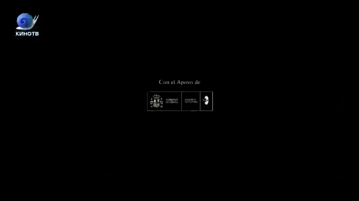 Institute of Cinematography and Audiovisual Arts/Television Variants ...