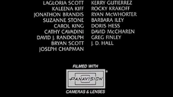 Panavision Logo