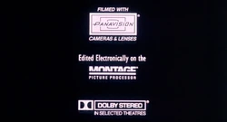 Logotipo De Panavision