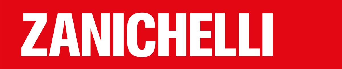 Zanichelli | Logo Timeline Wiki | Fandom