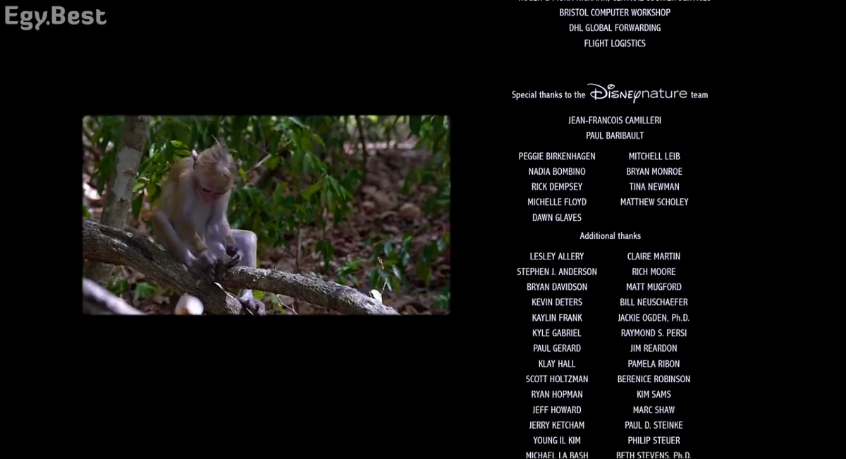 Disneynature/Credits Variants | Logo Timeline Wiki | Fandom