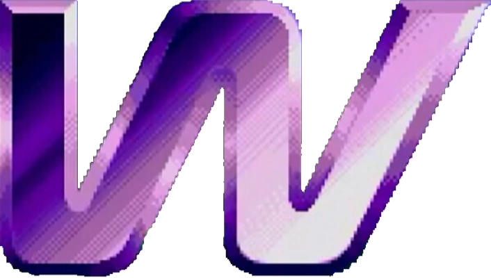 WonderMega | Logo Timeline Wiki | Fandom