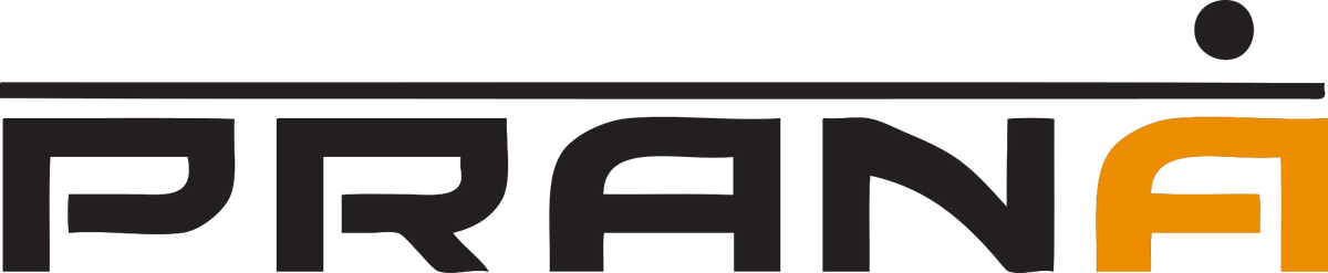 Prana Studios | Logo Timeline Wiki | Fandom
