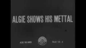 Solax Film | Logo Timeline Wiki | Fandom