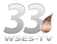 WSES | Logo Timeline Wiki | Fandom