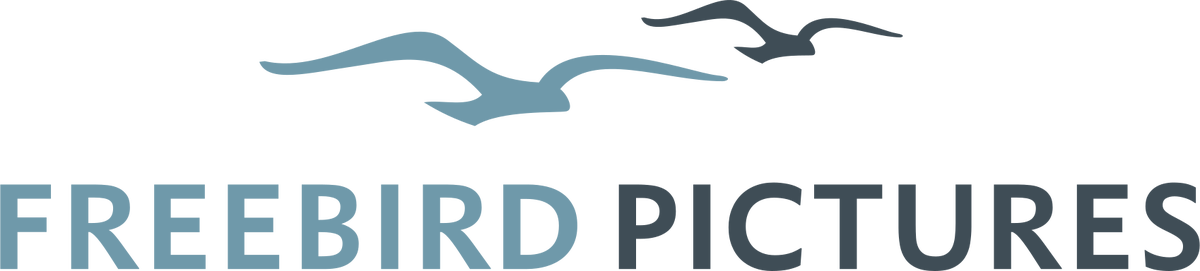 Freebird Pictures | Logo Timeline Wiki | Fandom