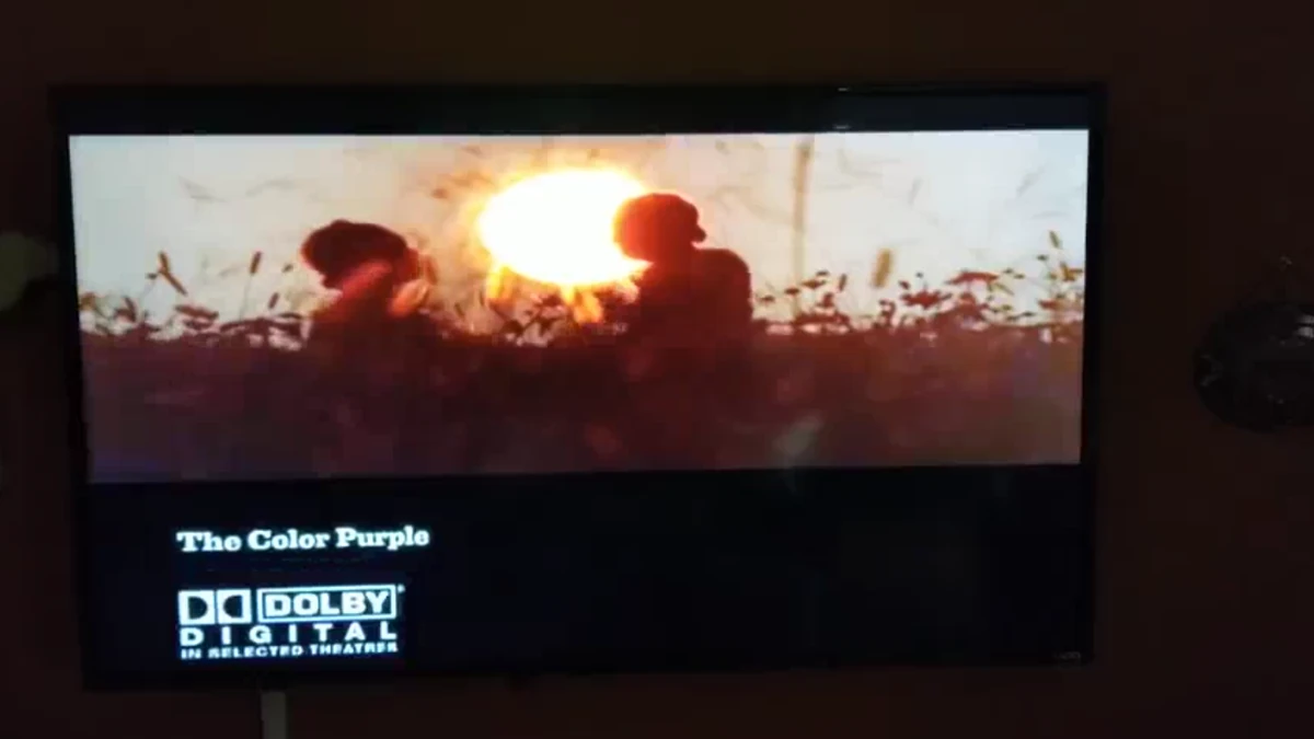 Dolby Digital/Television Variants | Logo Timeline Wiki | Fandom