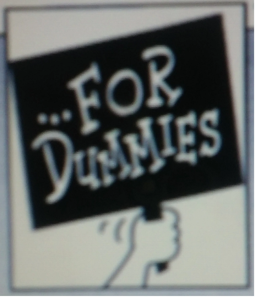 Logo For Dummies Book