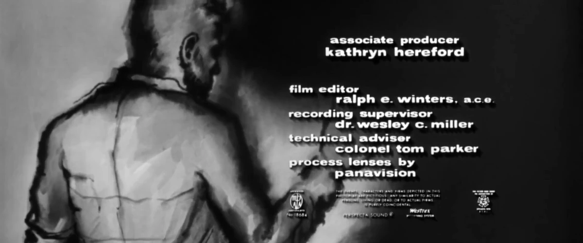 Filmed With Panavision Logo