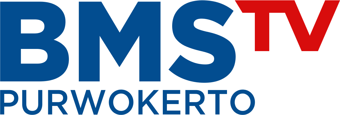 BMS TV | Logo TV Wiki | Fandom