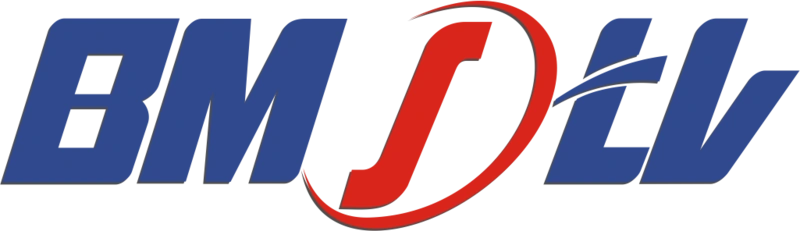 BMS TV | Logo TV Wiki | Fandom
