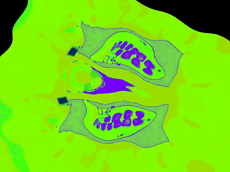 X Has a Weird Vampire | Logo Editing Wiki | Fandom